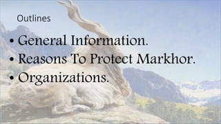 Markhor | PPT