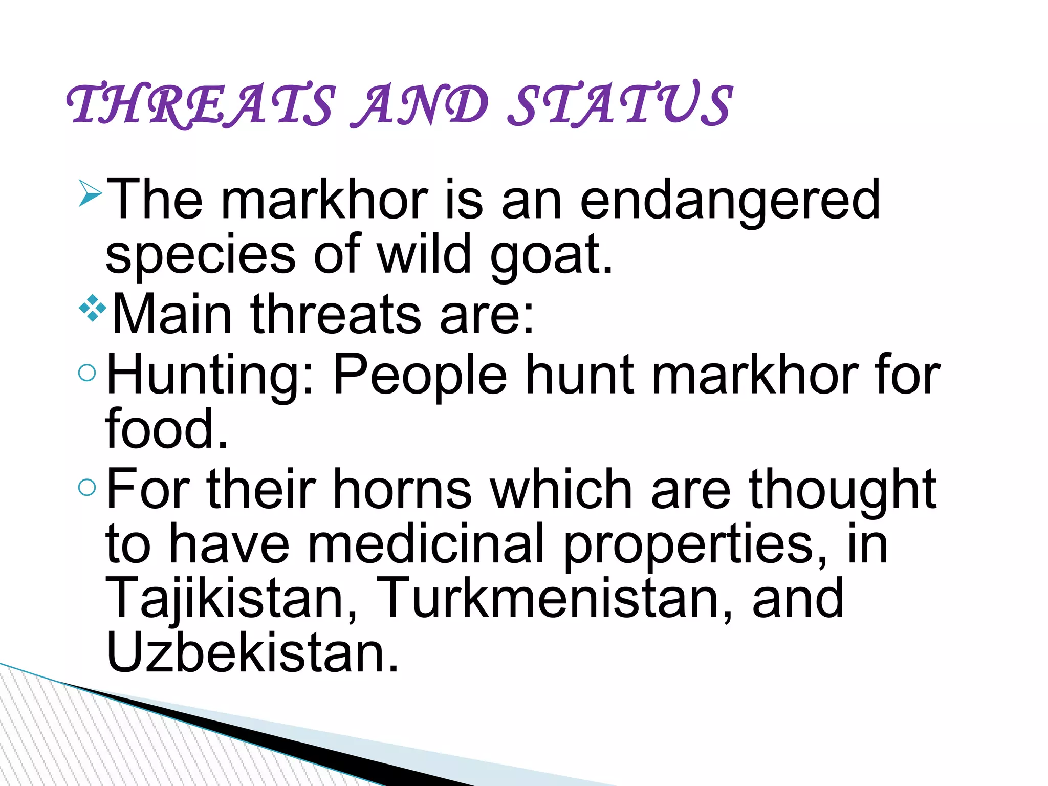 Markhor | PPT