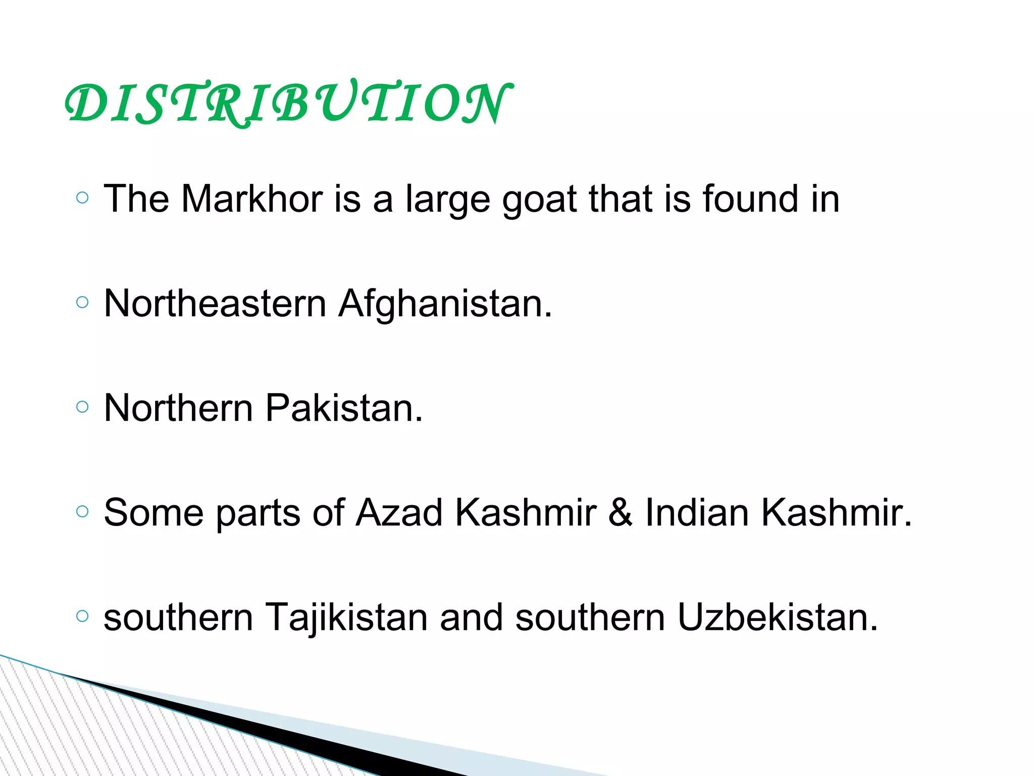 Markhor | PPT