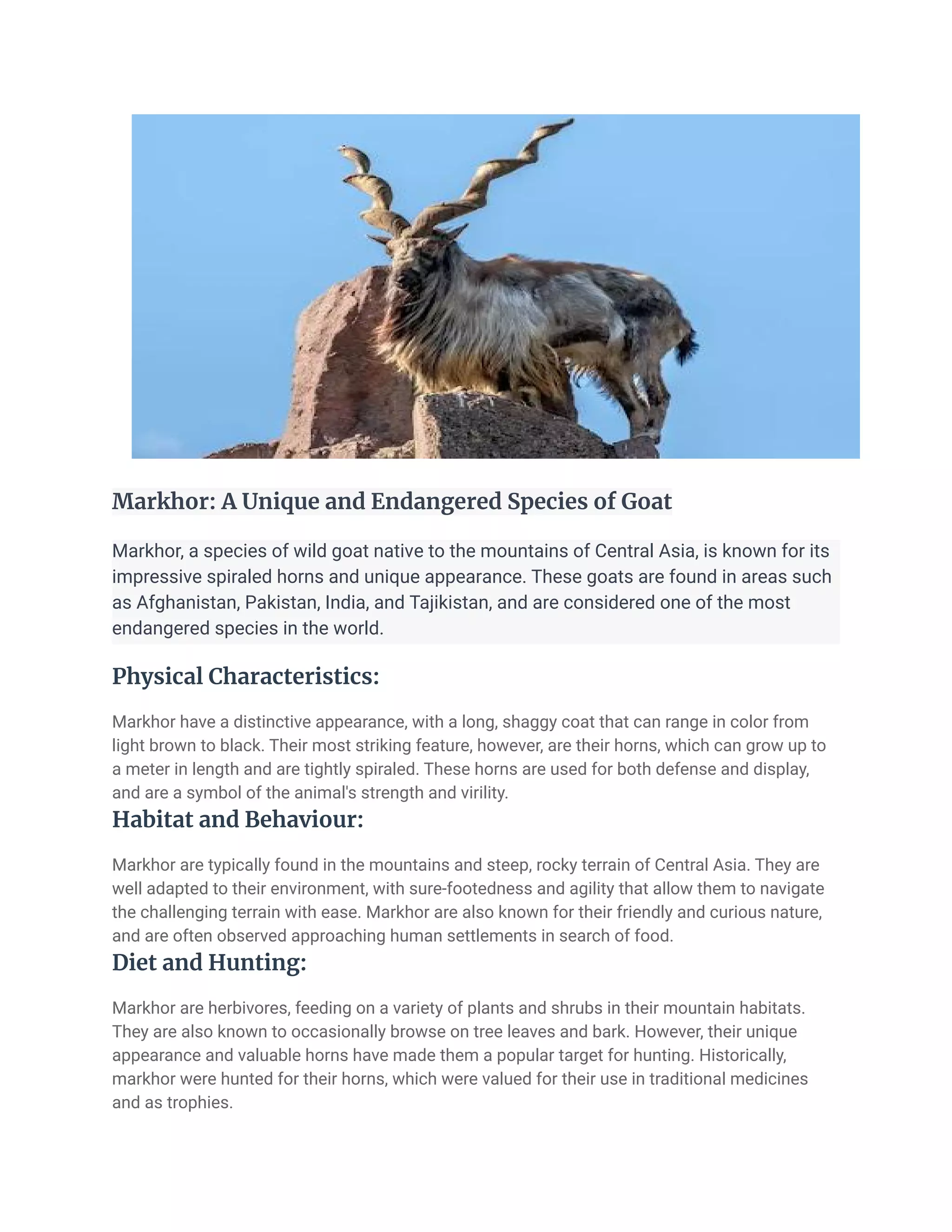Markhor_ A Unique and Endangered Species of Goat.pdf