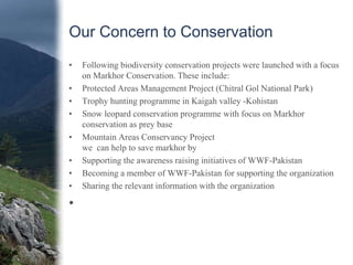 Markhor conservation and status in pakistan | PPT