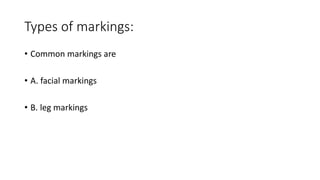 Markings of Horses by Dr Sunil kumar | PPTX