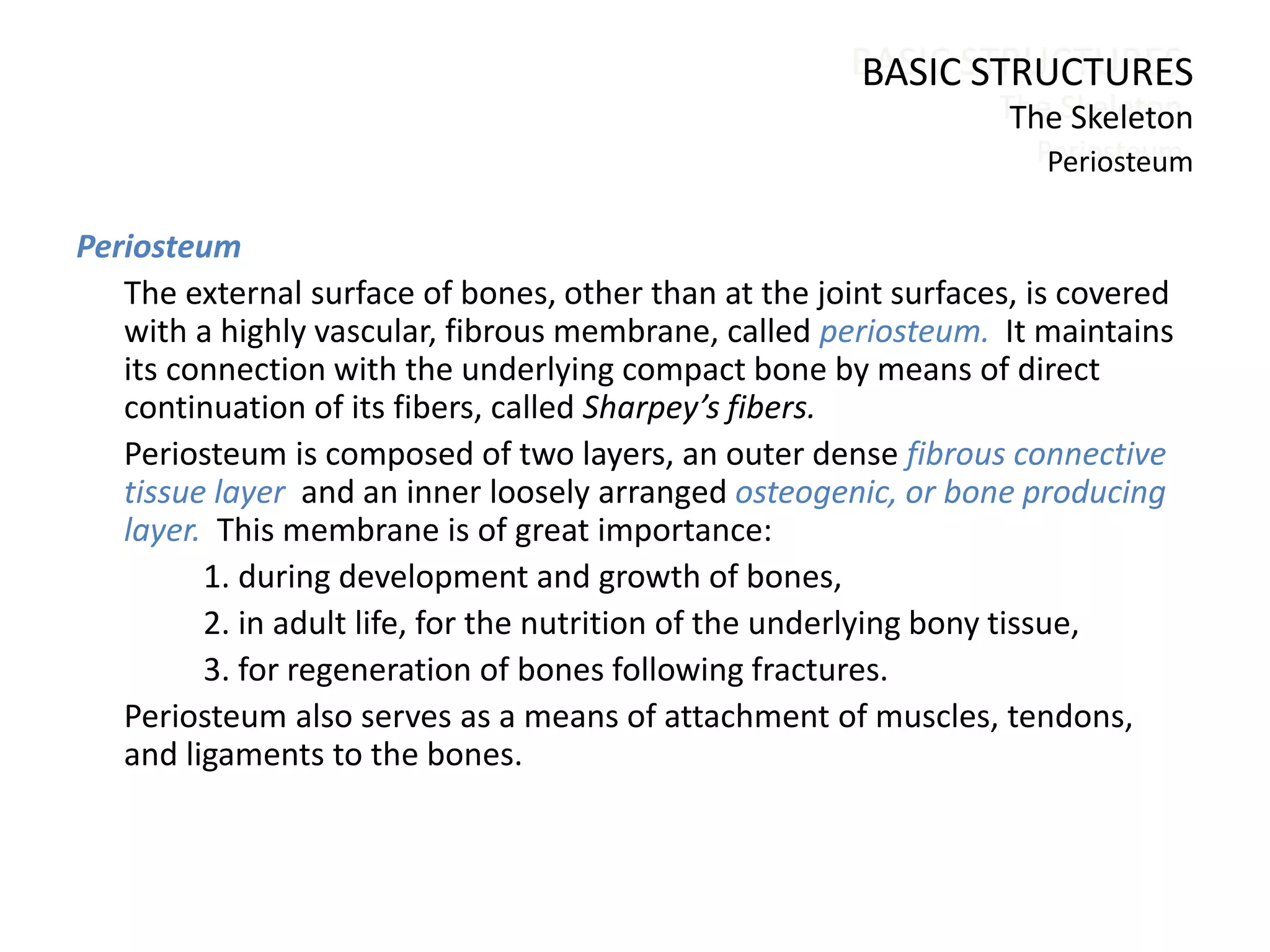 Markings on bones, periosteum and endosteum | PPTX