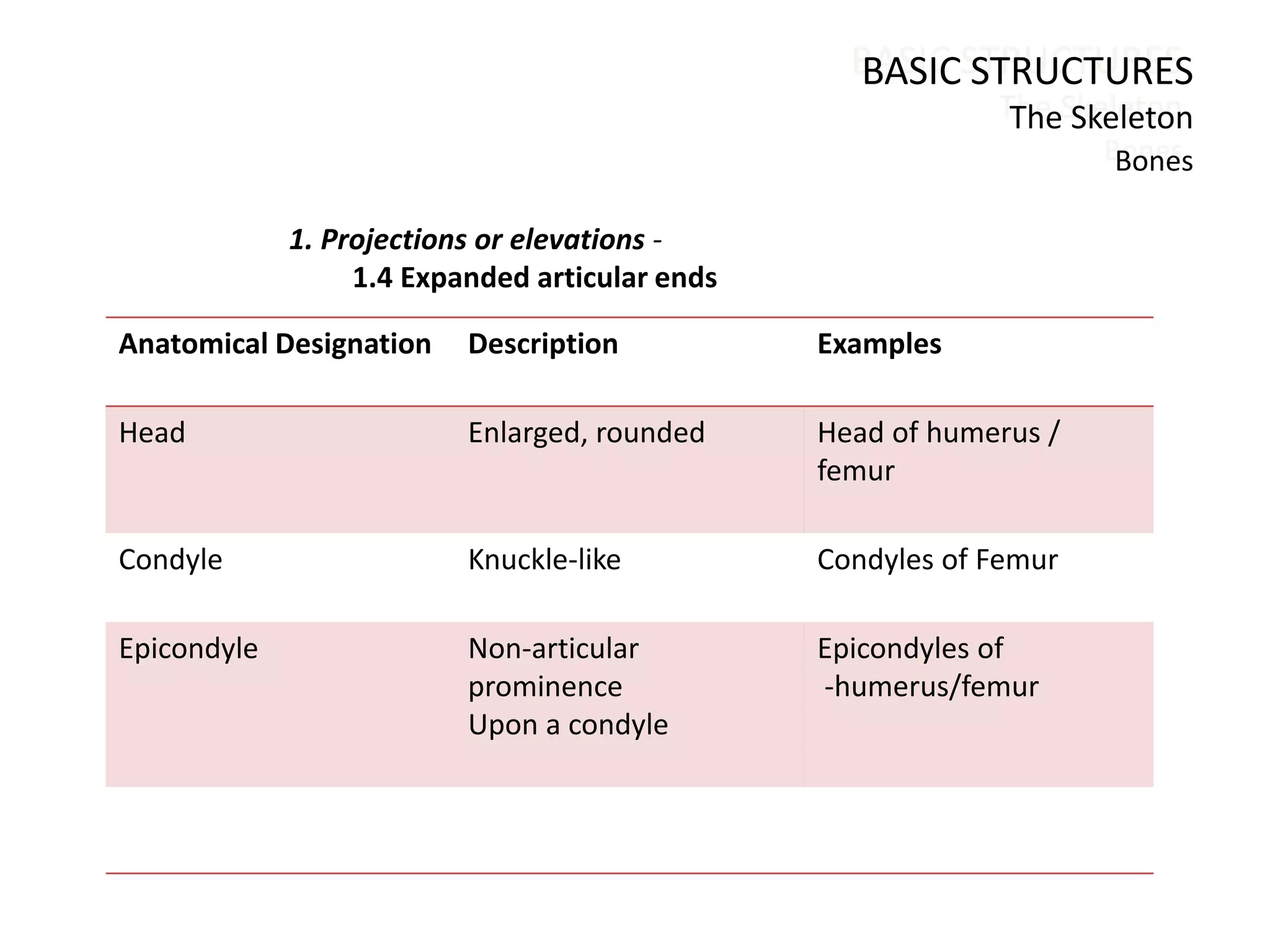 Markings on bones, periosteum and endosteum | PPTX