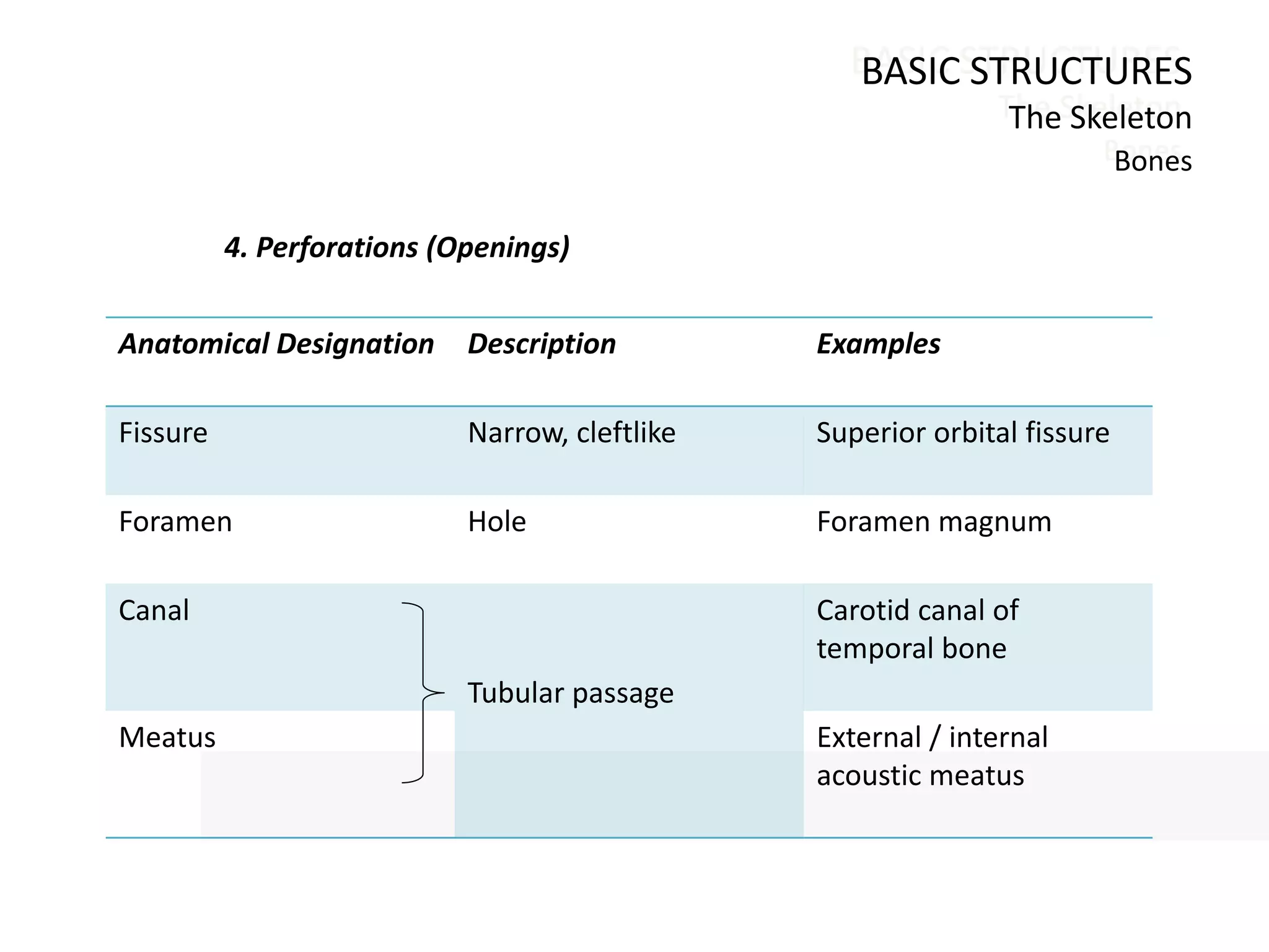 Markings on bones, periosteum and endosteum | PPTX