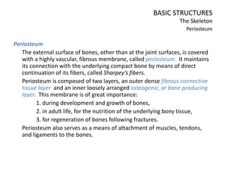 Markings on bones, periosteum and endosteum | PPTX