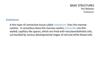 Markings on bones, periosteum and endosteum | PPTX