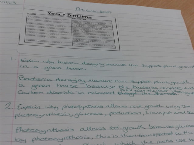 Marking with DIRT | PPT