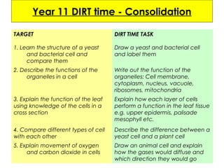 Marking with dirt sbc | PPT