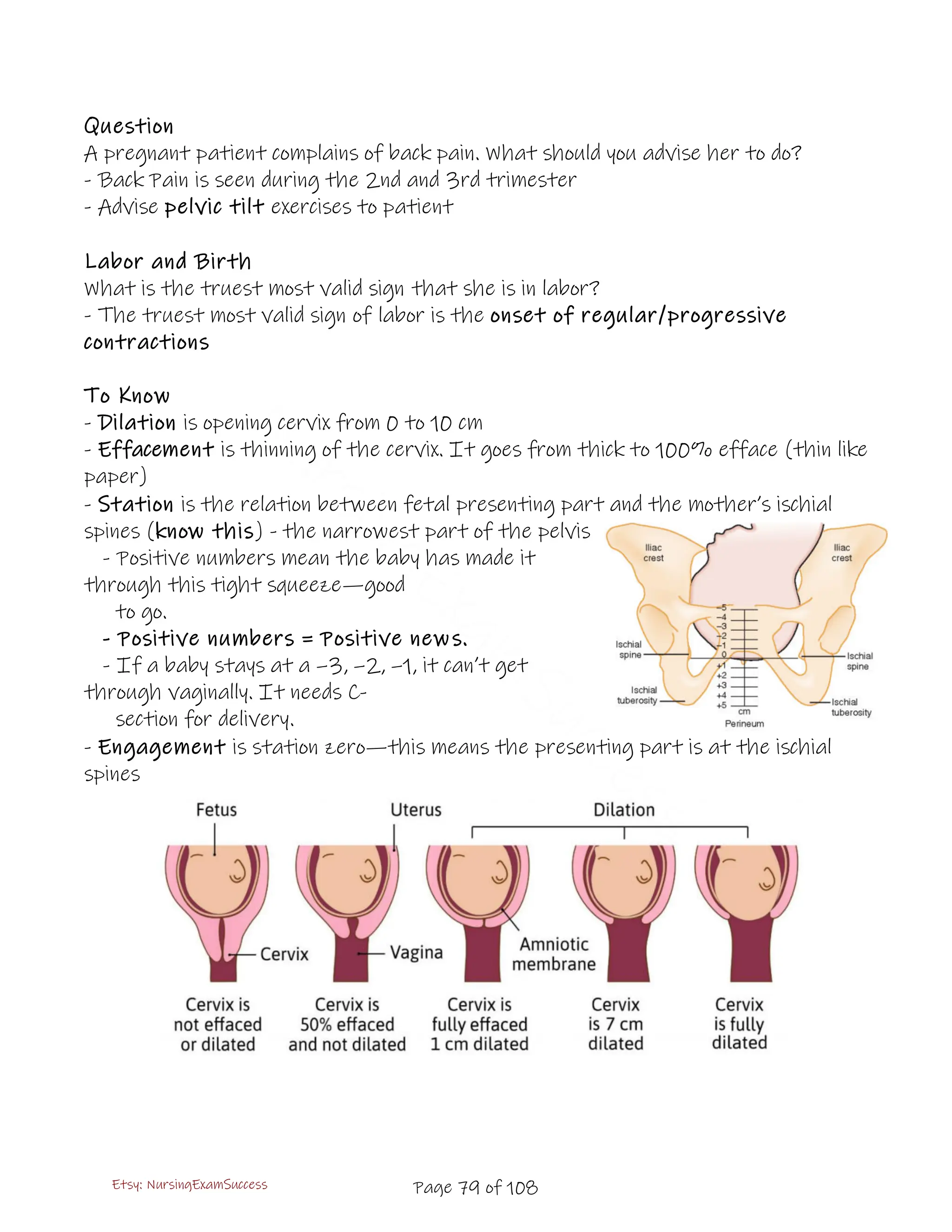 Mark Klimek Lectures In color Nclex RN / LPN review | PDF