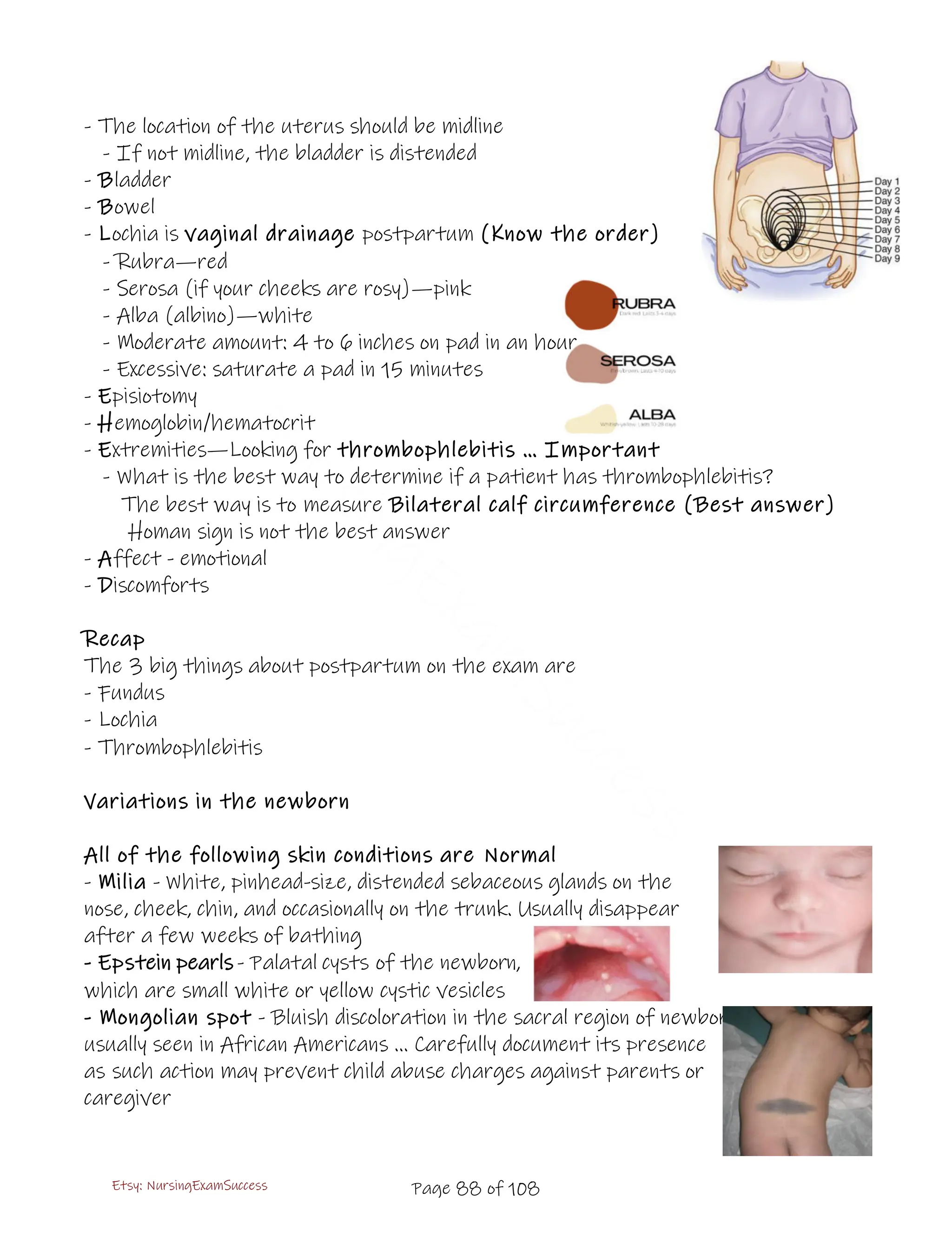 Mark Klimek Lectures In color Nclex RN / LPN review | PDF