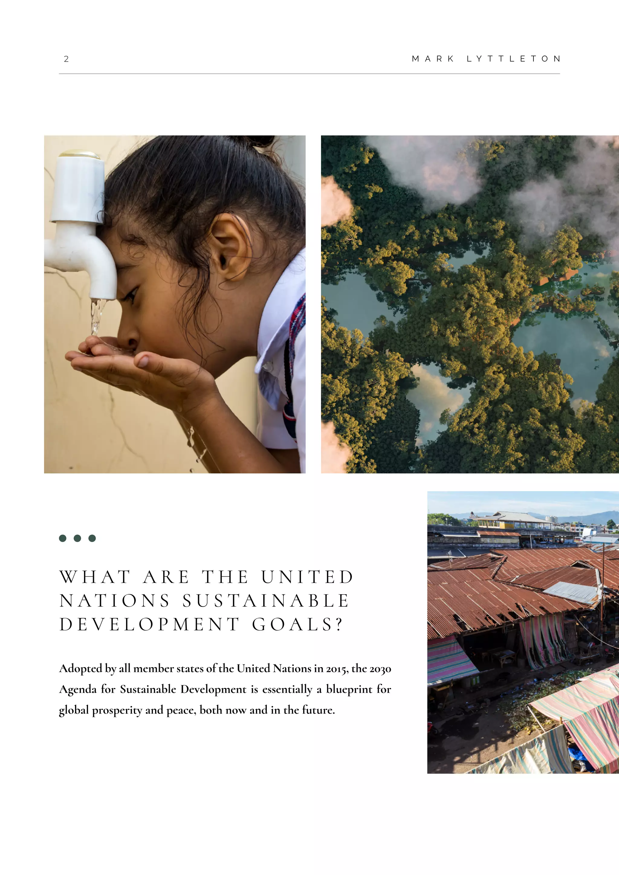 What Are the United Nations Sustainable Development Goals? | PDF