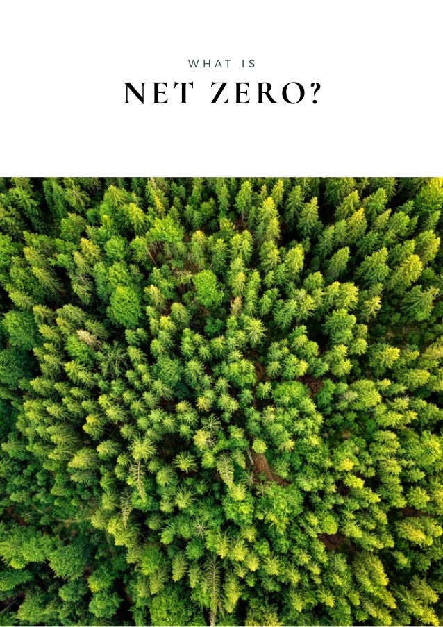 What is Net Zero? | PDF