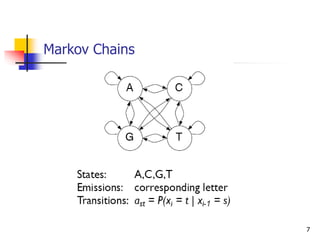 Markov_Chains.ppt | Genetics | Science