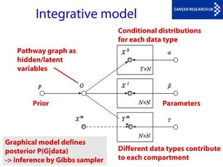 Probabilistic refinement of cellular pathway models | PPT