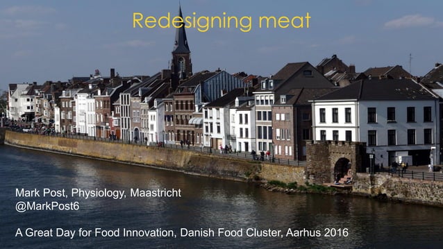 Mark Post - Maastricht University | PPT