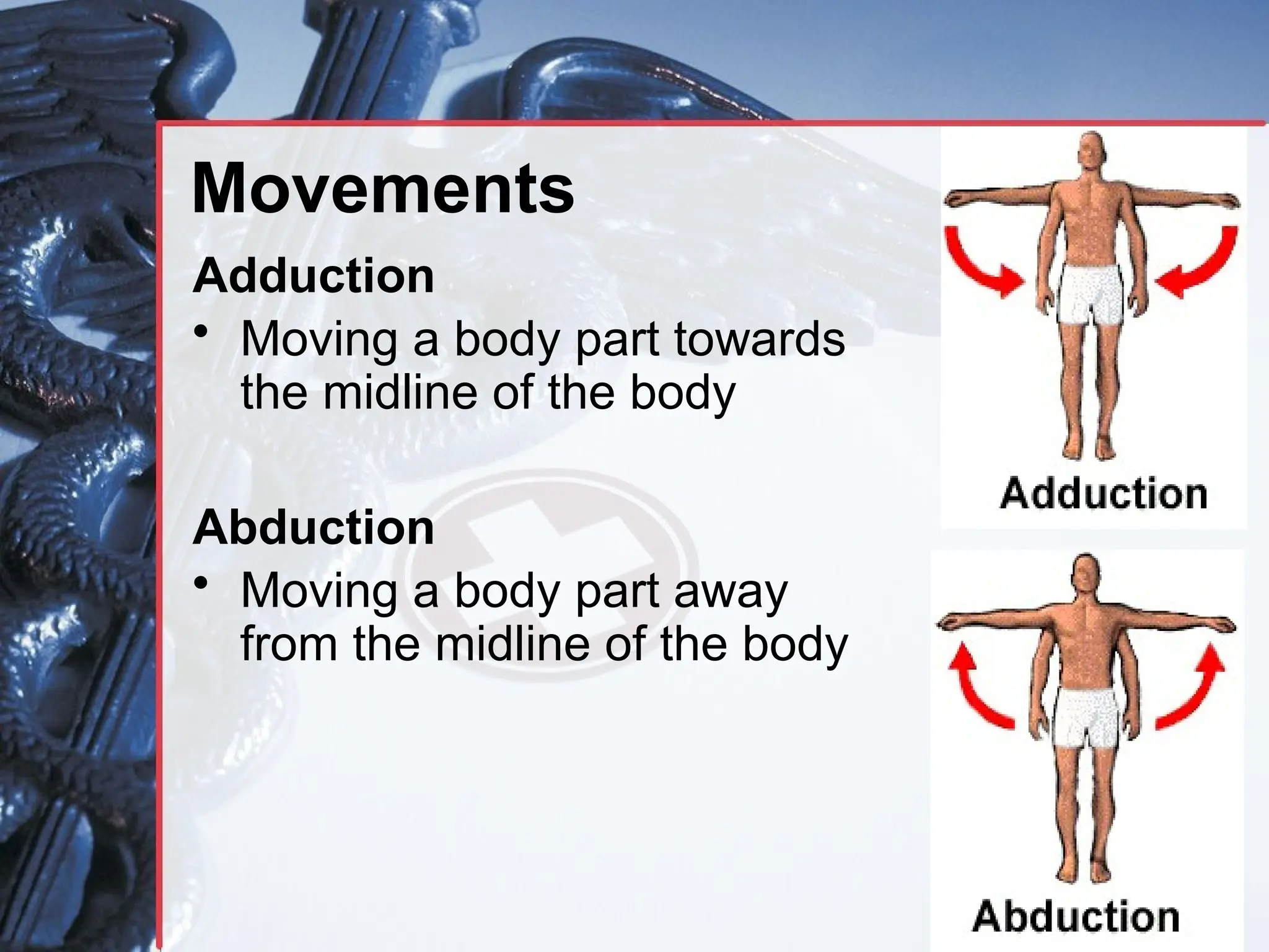 introduction to human anatomy and the different body movements | PPTX