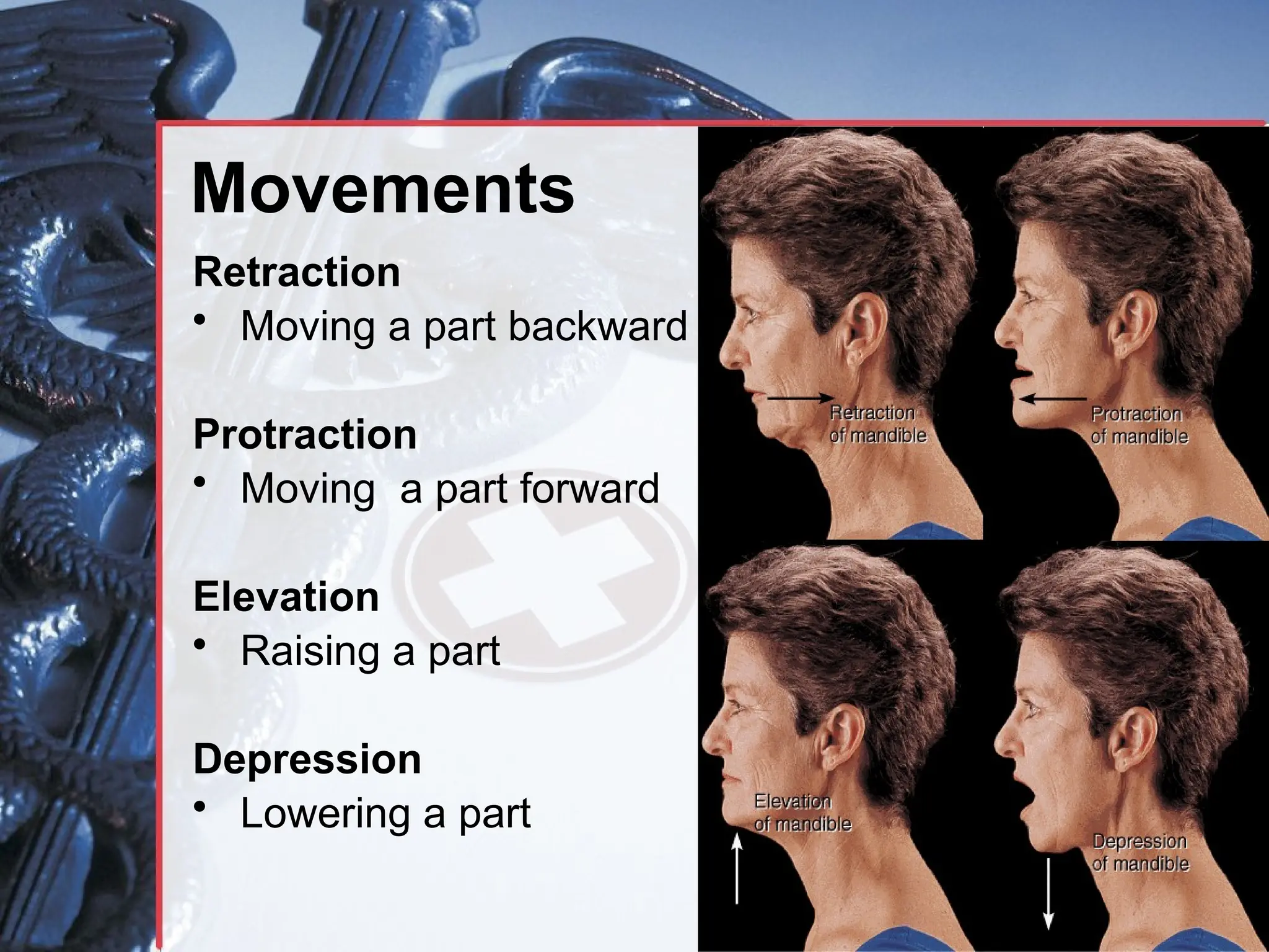 introduction to human anatomy and the different body movements | PPT