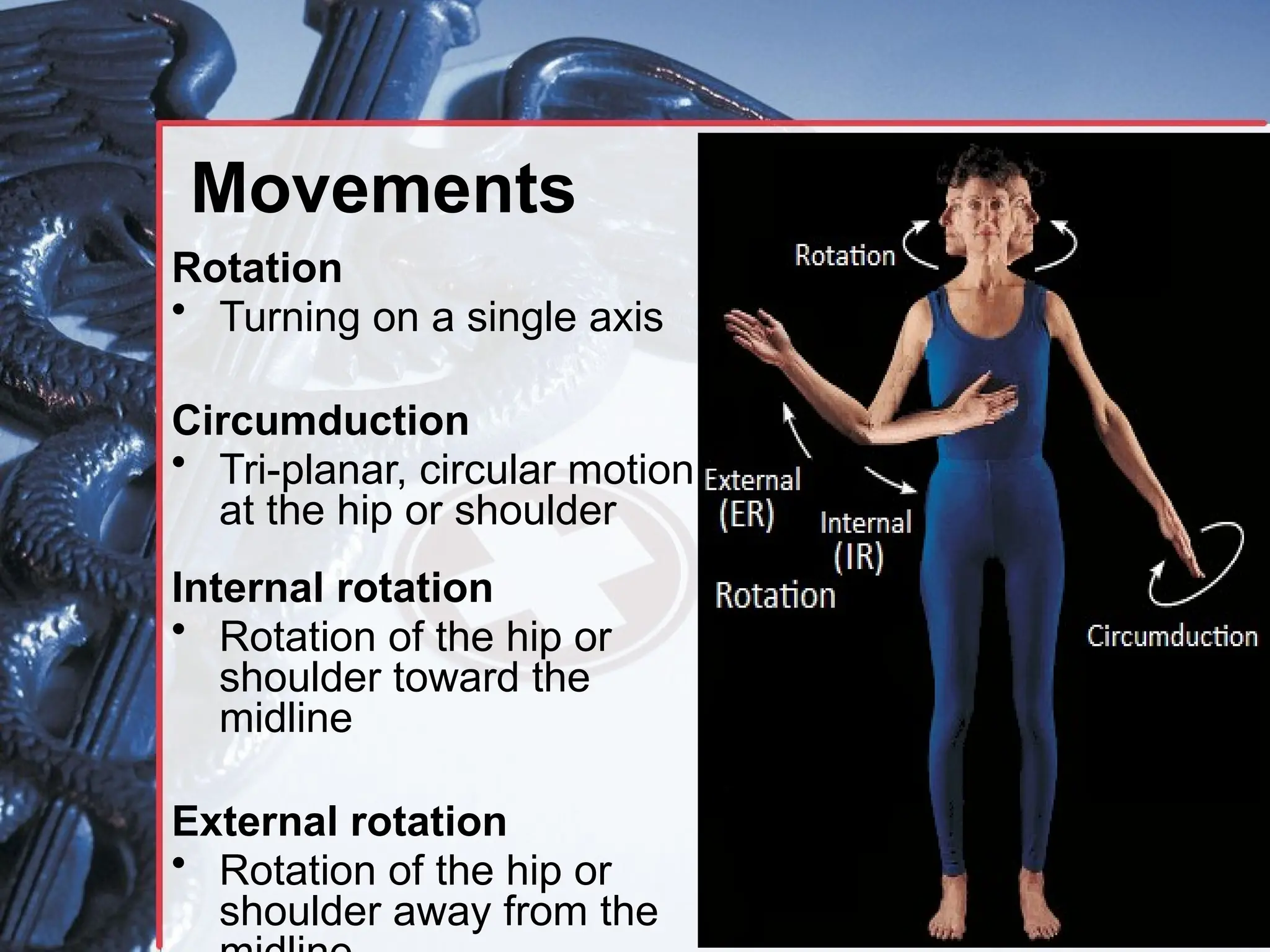 introduction to human anatomy and the different body movements | PPT