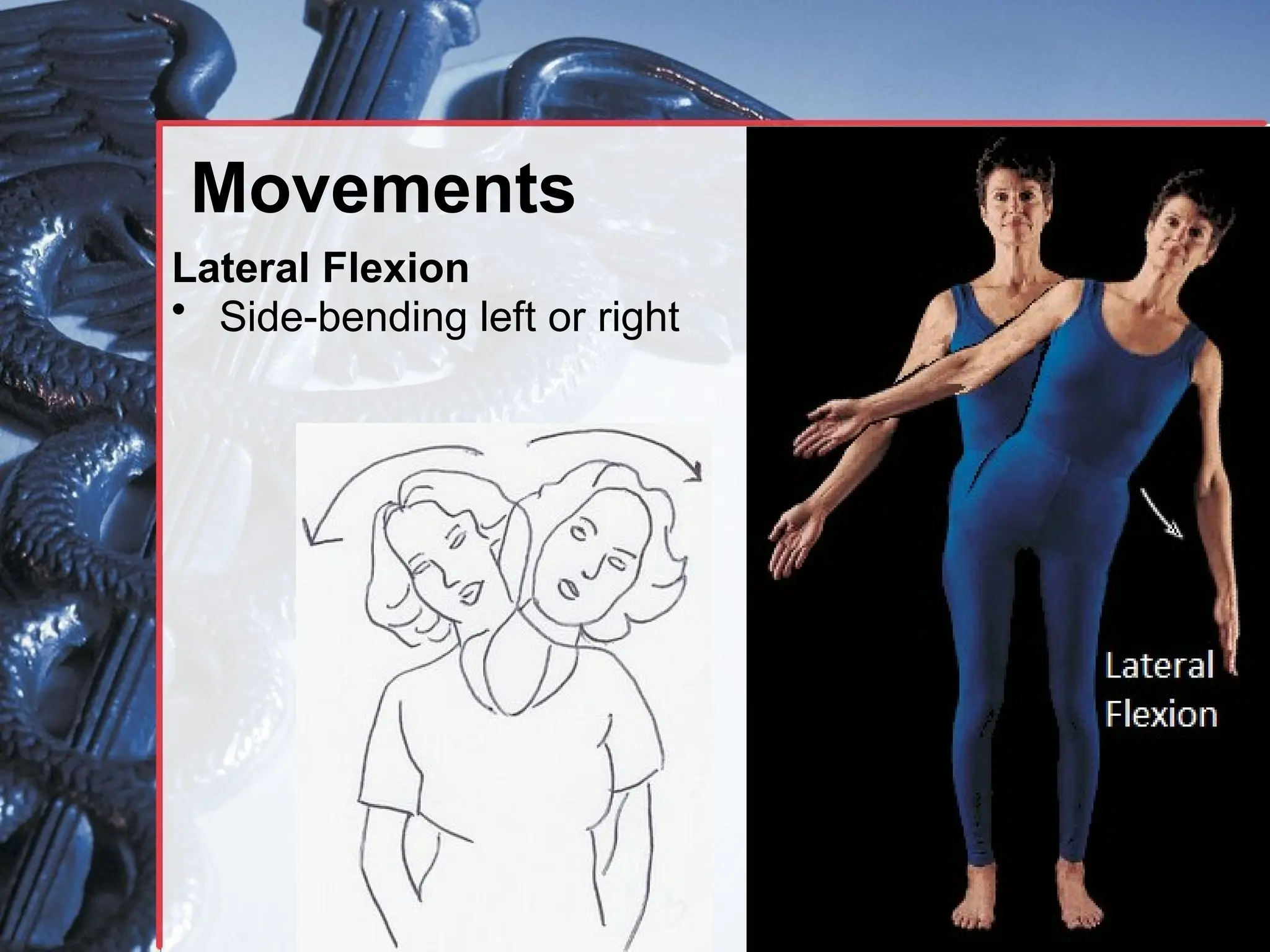 introduction to human anatomy and the different body movements | PPT