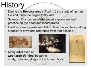 introduction to human anatomy and the different body movements | PPT