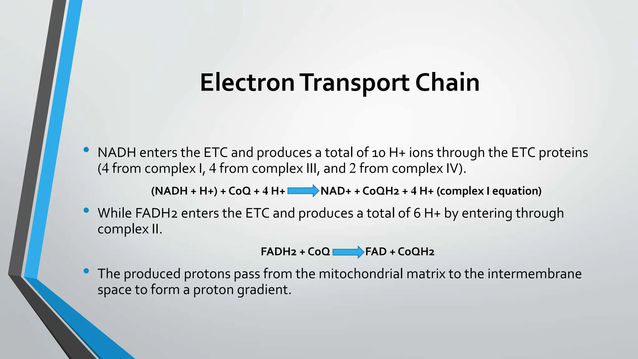 Redox reactions in cellular respiration.pptx