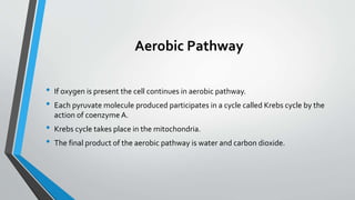 Redox reactions in cellular respiration.pptx