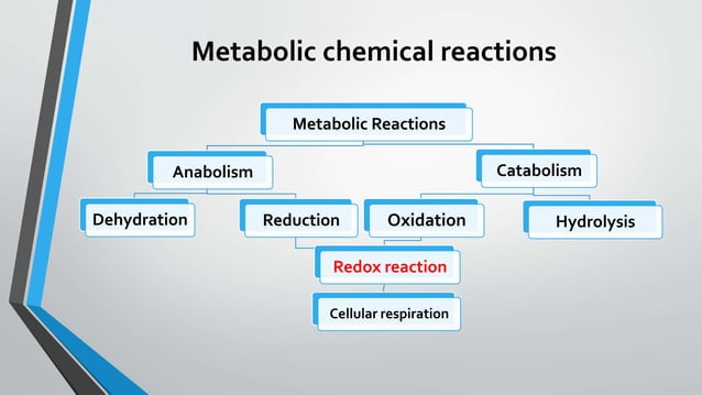 Redox reactions in cellular respiration.pptx