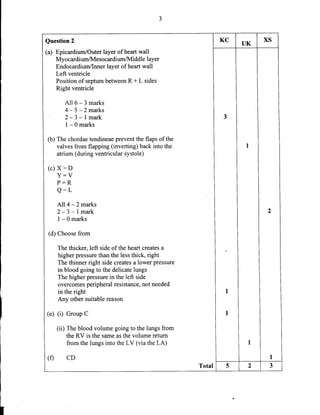 Mark scheme for specimen paper 2001 | PDF