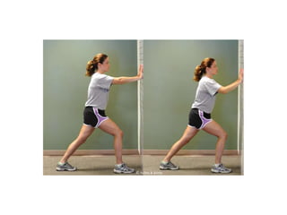 Tendons: Mechanisms of pathogenicity and repair - movement, stretch and ...