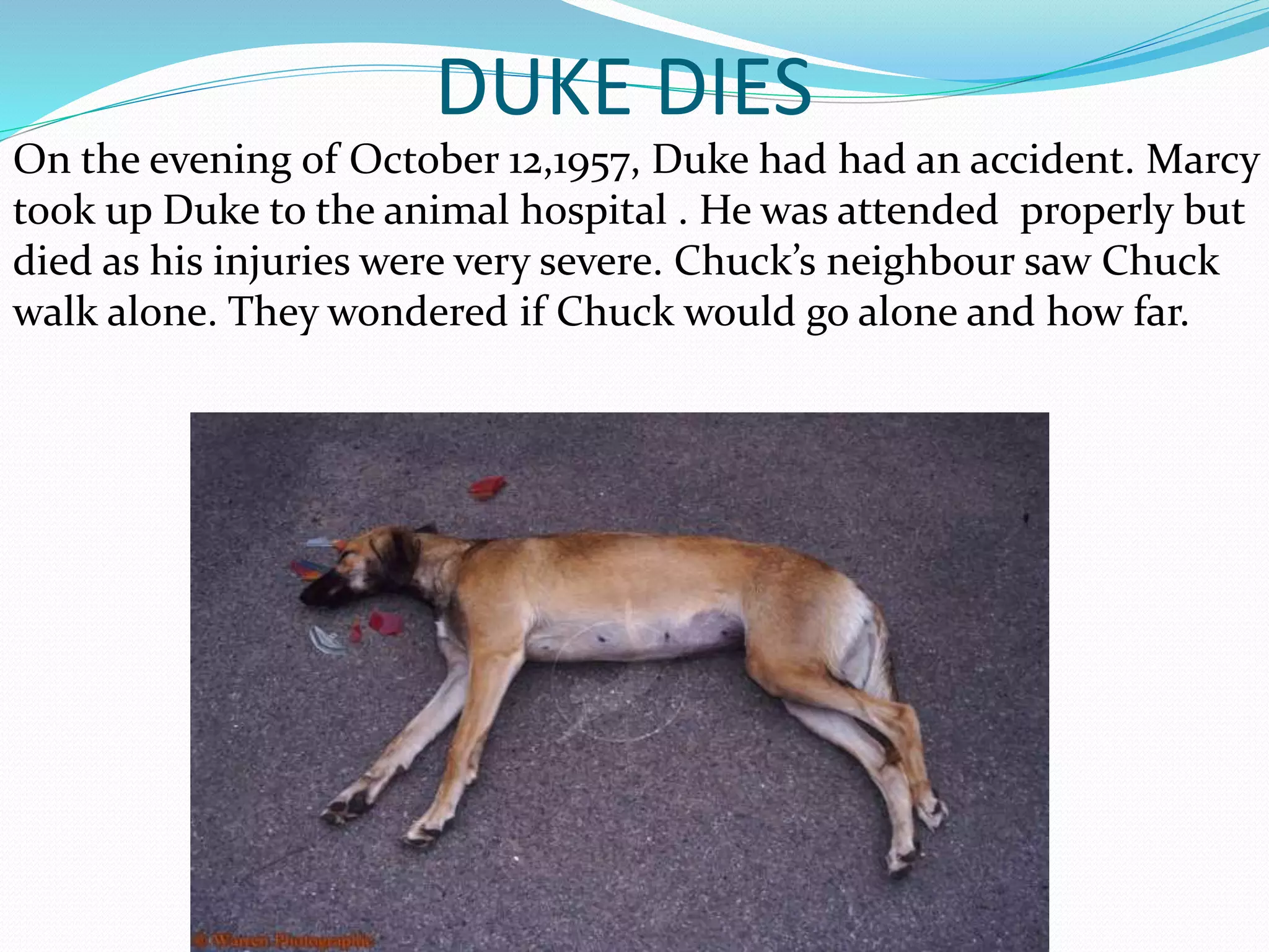 A Dog Named Duke | PPTX