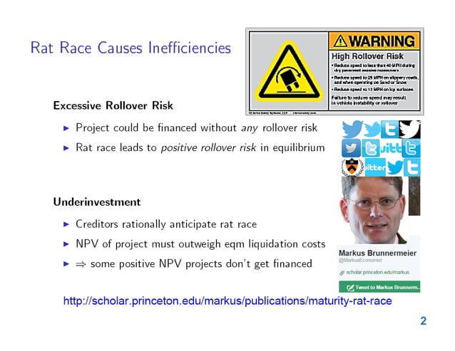Markus Brunnermeir - The Maturity Rat Race | PPT