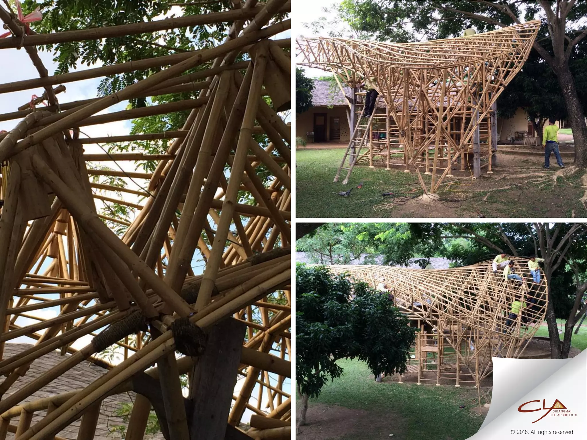 Markus Roselieb_Modern Structural Bamboo Architecture | PDF