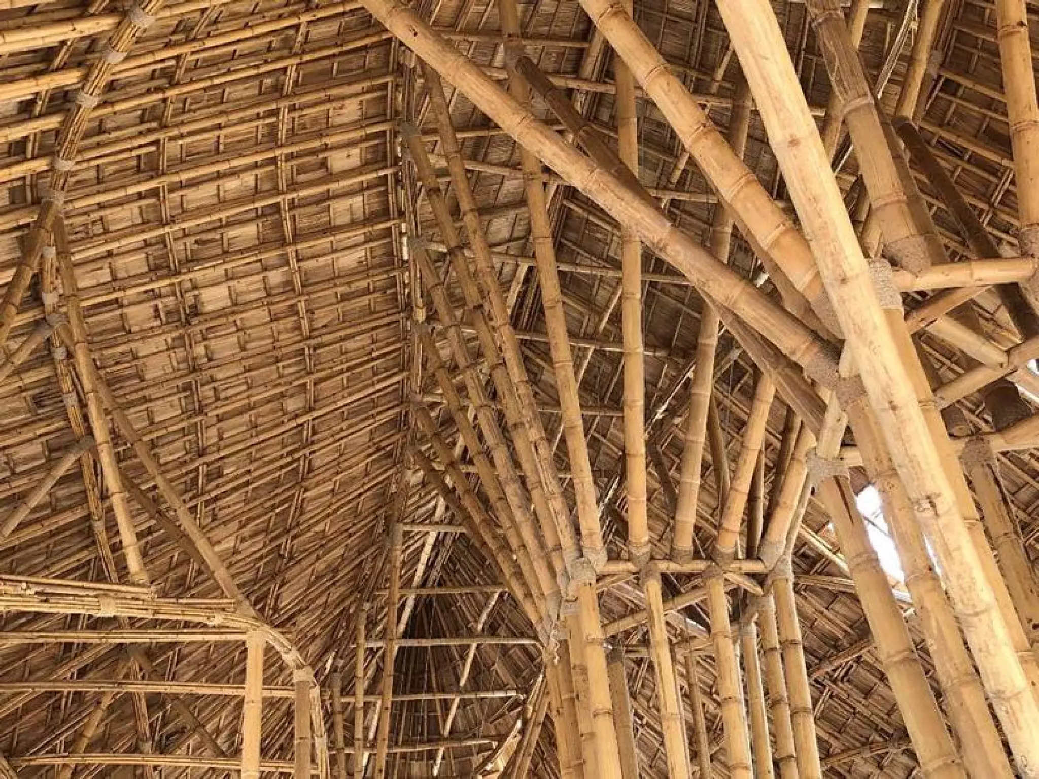 Markus Roselieb_Modern Structural Bamboo Architecture | PDF