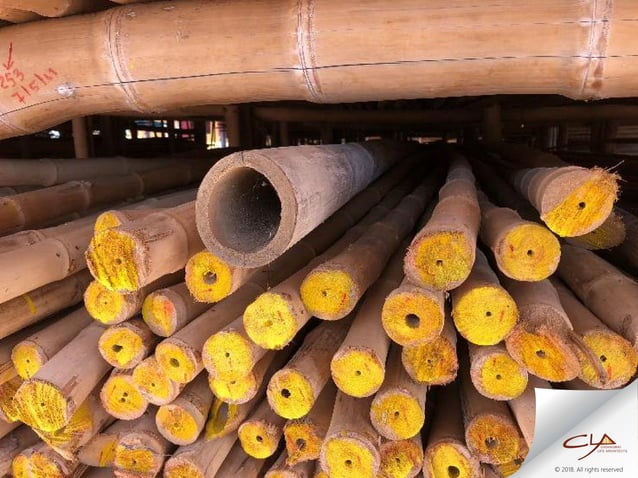 Markus Roselieb_Modern Structural Bamboo Architecture | PDF ...