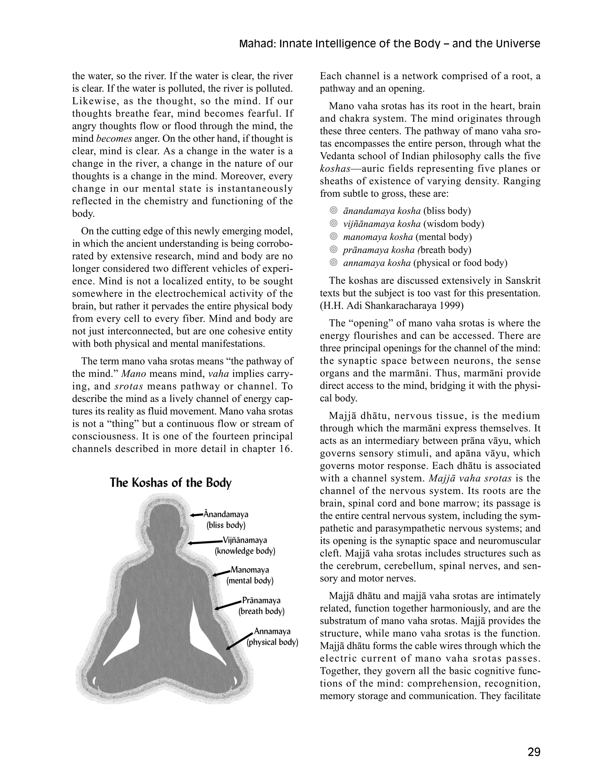 Marma points-of-ayurveda-vasant-lad.09673 (1) | PDF