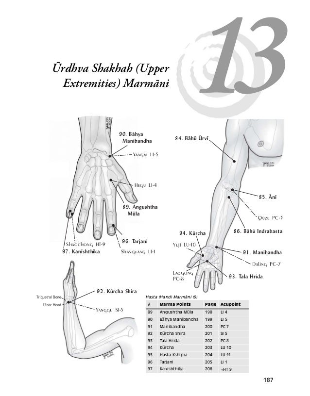 Marma points-of-ayurveda-vasant-lad.09673 (1)