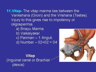 MARMA-revised MARMA-revised MARMA-revised | PDF