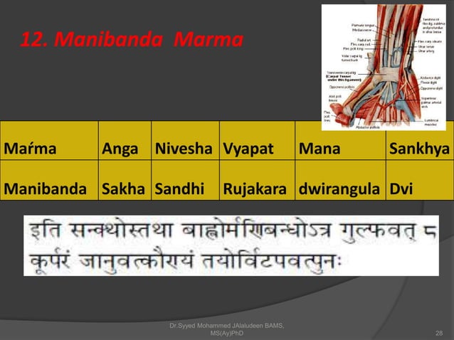 Marma - vital points in ayurveda | PPTX | Death, Injury, or Military ...