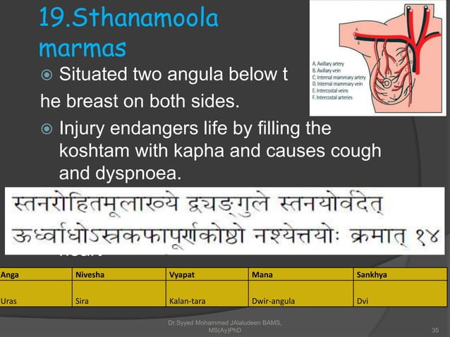 Marma - vital points in ayurveda | PPTX | Death, Injury, or Military ...