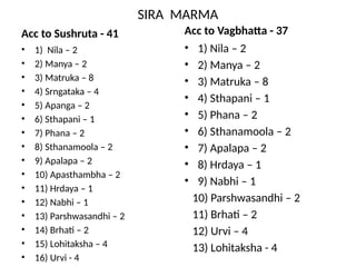 MARMA SHAREERAM for BAms ayurvedic students | PPTX