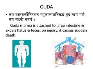 MARMA SHAREERAM for BAms ayurvedic students | PPTX