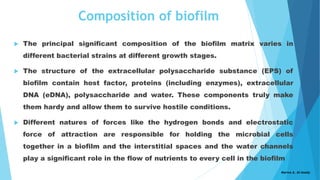 Biofilm | PPT