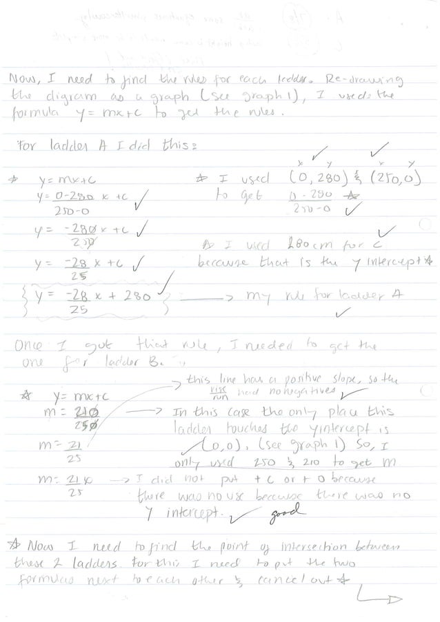 MYP Investigation | PDF