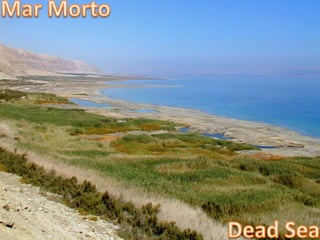 Mar Morto Dead Sea | PPT | Free Download