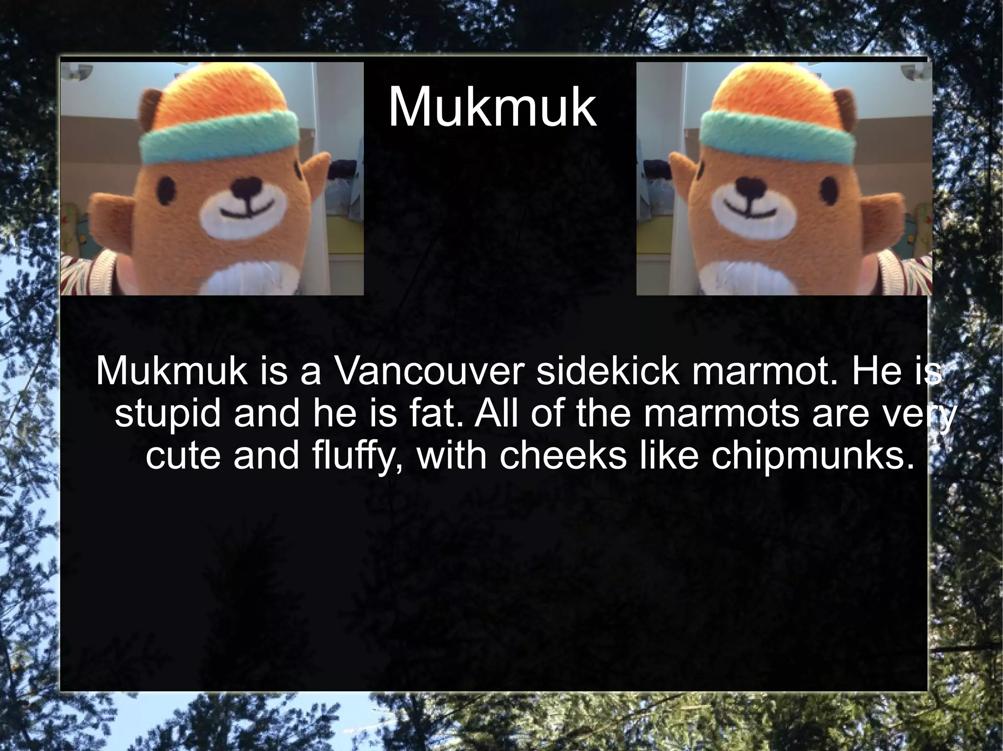 Marmot Is A Piece of Meat | PPT