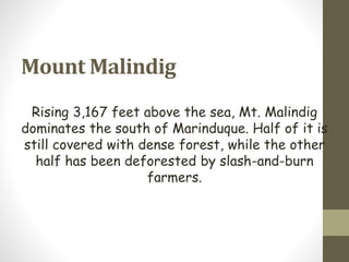 MARINDUQUE, ROMBLON, PALAWAN | PPTX