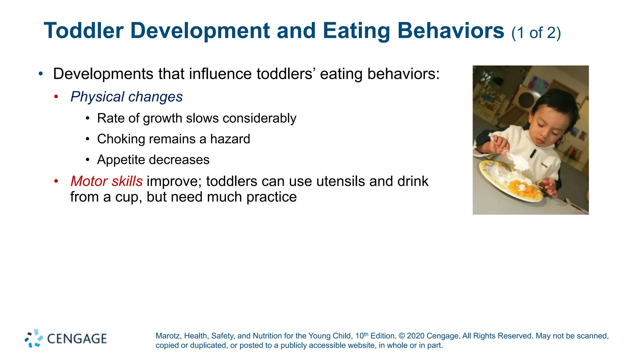 Chapter 16 Feeding Toddlers & Young Children | PPTX