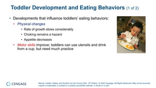 Chapter 16 Feeding Toddlers & Young Children | PPTX