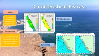 Mar Peruano o Mar de Grau | PPTX